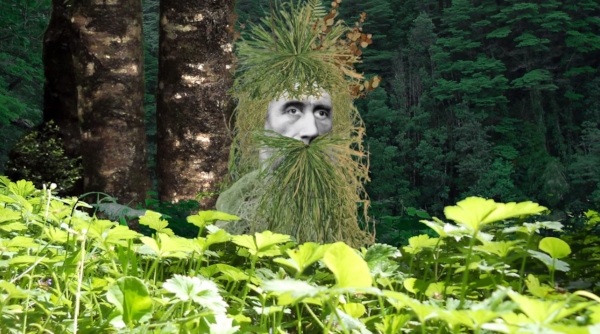 Boquila Trifoliolata - Por la Razón y la Ciencia | educarchile